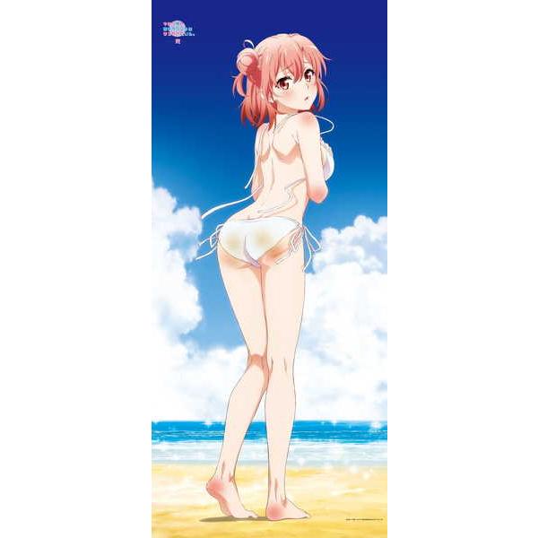 【発売日：2026年06月30日】宅配便配送商品 「やはり俺の青春ラブコメはまちがっている。完」より、BIGタペストリーが登場です。ポリエステルスエードというとても高密度の生地を使用しておりますので、仕上がりがとても美しくなっております。塩...