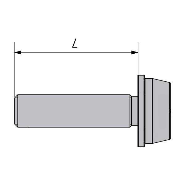 CAMPAGNOLO カンパニョーロ DB 2x19mm リアマウントボルトfor10-14mm 2本入 AC18-DBSC19 1137612カンパニョーロ