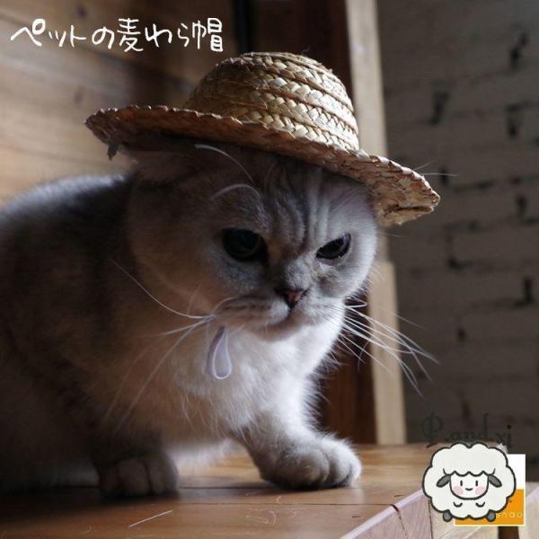 とってもキュートなペット用帽子！ワンちゃん、ネコちゃんの紫外線対策にもぴったりのアイテムです。【サイズについて】画像をご参照ください。【カラーについて】生産ロットにより柄の出方や色の濃淡が異なる場合がございます。お使いのモニターや撮影時の光...