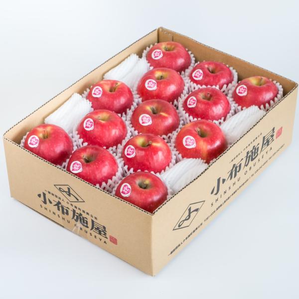 【発売日：2026年01月09日】長野県産 りんご ピンクレディー 約2.8kg（9〜14玉前後）　ピンクレディーは西オーストラリアで「レディーウイリアム」と「ゴールデンデリシャス」を交配育種した新しいリンゴです。ピンクレディーはオーストラ...