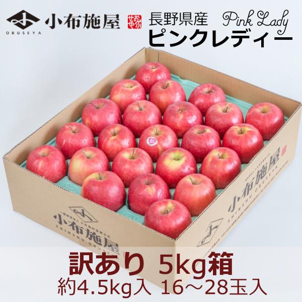 【発売日：2026年01月12日】長野県産 りんご ピンクレディー ご家庭用 訳あり約4.5kg（16〜30玉）　ピンクレディーは西オーストラリアで「レディーウイリアム」と「ゴールデンデリシャス」を交配育種した新しいリンゴです。ピンクレディ...