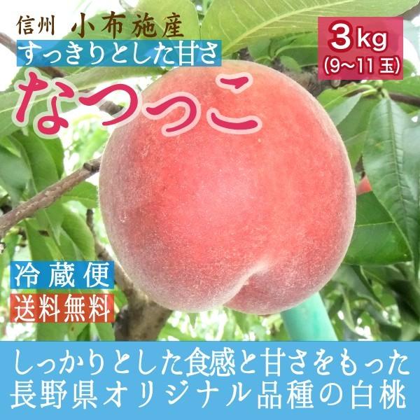 【発売日：2026年08月04日】長野県産 桃　なつっこ 約3kg（1箱6〜12玉入）お盆前に食べ頃になる甘い桃、なつっこ。「川中島白桃」と「あかつき」から生まれた、長野県オリジナル品種です。やや硬めの果肉と酸味が少なくすっきりした甘さが特...