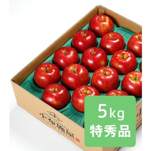 【発売日：2026年10月16日】長野県産 りんご シナノスイート 特秀品 約5kg（10〜18玉）長野県オリジナル品種『信州のりんご3兄弟』のひとつです。りんごの王様《ふじ》と、早生種の中でも甘い《つがる》から生まれた品種「シナノスイート...