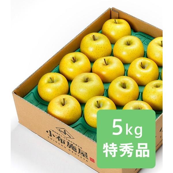 【発売日：2026年11月01日】長野県産 りんご シナノゴールド 特秀品 約5kg（10〜18玉）長野県オリジナル品種『信州のりんご3兄弟』のひとつです。ゴールデンデリシャスと千秋を交配して誕生したりんご「シナノゴールド」は、甘みの中にも...