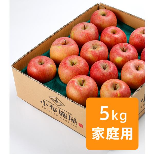 長野県産 りんご サンふじ 『風のいたずら』家庭用 約5kg（10〜20玉）りんごの王様“ふじ"は、シャキッとした歯ごたえと、果汁もたっぷり、甘味と酸味のバランスがいいリンゴです。サンふじは、普通のふじりんごと違い袋をかけずに栽培されます。...