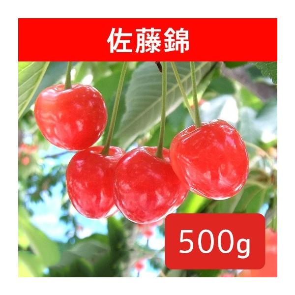 【発売日：2026年06月15日】長野県産 さくらんぼ 佐藤錦 約500g小布施町の初夏を代表する果物のさくらんぼ。数多くあるさくらんぼの品種の中でも特に美味しいと言われているのが「佐藤錦」です。贅沢な甘さとさわやかな後味が特長です。口の中...