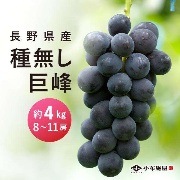 【発売日：2026年09月05日】長野県産 種無し巨峰 約4kg（8~11房）〜コクのある甘さの定番ぶどう〜ぶどうの王様と呼ばれ、 黒ぶどうの定番品種の「巨峰」です。ぶどうの味と言えば、やっぱり巨峰が多いのではないでしょうか？果肉は締まって...