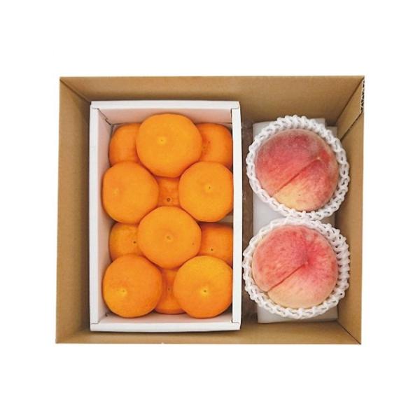 製造生産地：日本製三温度帯：冷蔵・のし対応：短冊(下あり)・包装対応：簡易包装のみ・二重包装対応：不可※他の商品との同梱は不可となります。(商品ごとのご注文を宜しくお願い致します。)※メーカー側で後継品番や代替品品番に変更となる場合もござい...