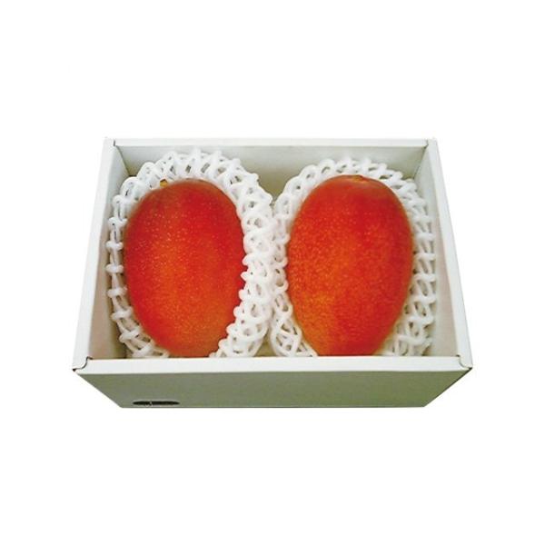 製造生産地：日本製三温度帯：冷蔵アレルゲン推奨20品目：キウイフルーツ・もも・りんご・のし対応：短冊(下あり)・包装対応：簡易包装・二重包装対応：可能※他の商品との同梱は不可となります。(商品ごとのご注文を宜しくお願い致します。)※メーカー...