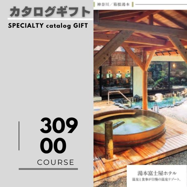 総ページ数：236ページ掲載アイテム数：約500点【予めご了承下さい】カタログ内容の切替のタイミング、メーカーの在庫等、時期によりましては商品と内容が異なる場合がございます。