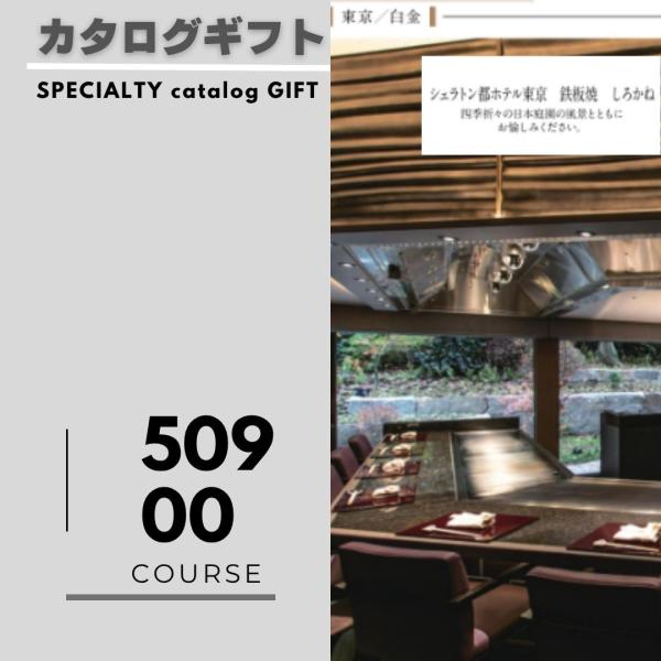 総ページ数：228ページ掲載アイテム数：約340点【予めご了承下さい】カタログ内容の切替のタイミング、メーカーの在庫等、時期によりましては商品と内容が異なる場合がございます。