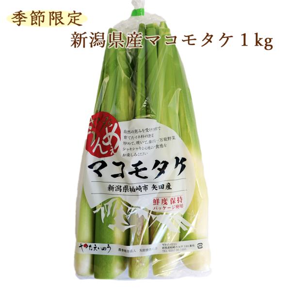 マコモは、イネ科の多年草で水稲のように水田で栽培され、食用菌（黒穂菌）の寄生によって根に近い部分の茎がやわらかく筍状に肥大してきます。この部分をマコモタケ（まこもたけ）と呼び、外皮をむいた白い部分（太さ３〜５cm・長さ２０〜３０cm・重さ８...