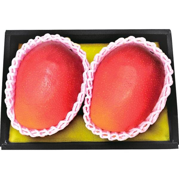 内容：マンゴー×2（計約600g）／沖縄または宮崎産（カタログ番号：0902）