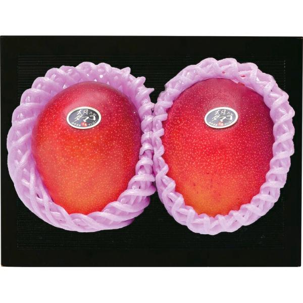 内容：太陽のタマゴ×2（計約700g）／宮崎産（カタログ番号：0903）