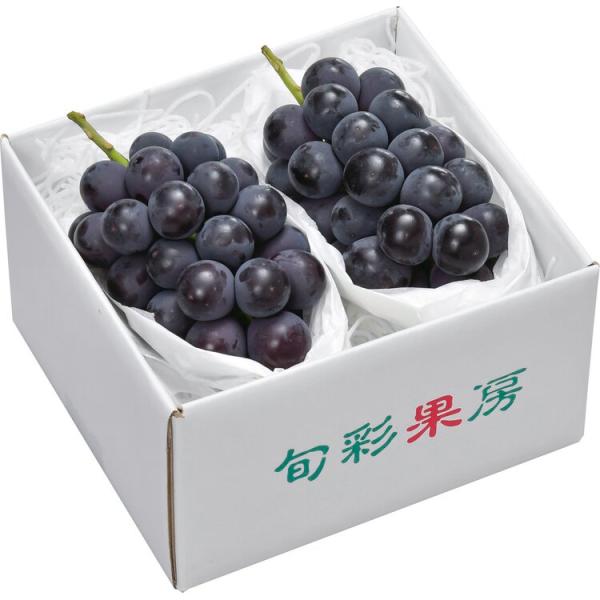 内容：ハウス巨峰×2（計約760g）／長野産（カタログ番号：0908）