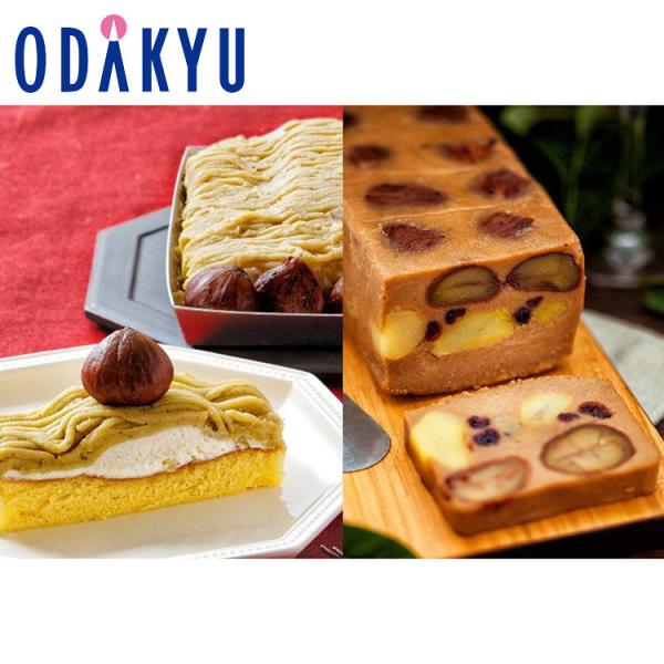 加工地：長野県内容：栗ごのみ 1箱、栗のテリーヌ5個賞味期間：製造日より30日間箱サイズ：28×19.5×5重さ：0.9kg