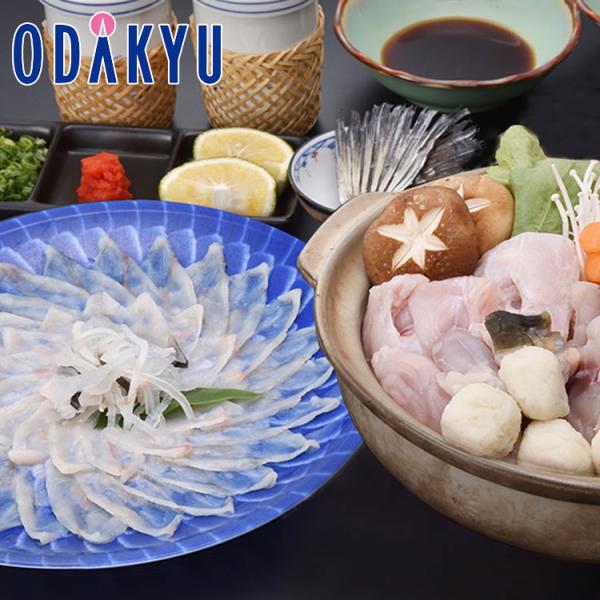 加工地：山口県産地：山口県箱サイズ：25×25×8(cm)賞味期間：加工日より90日間内容：とらふぐ刺身(刺身60g、皮湯引40g)、とらふぐ鍋(アラ200g、上身100g、ふぐ皮ツミレ4個)、ふぐヒレ3枚