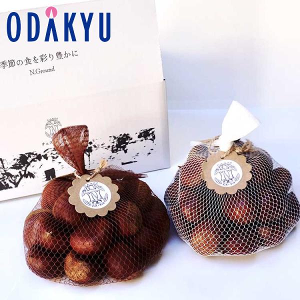 産地：丹波市重さ：約1.0kg賞味期間：お届け日より7日間内容：丹波市産　熟成丹波栗 2L サイズ　品種：銀寄・筑波　500g/袋・2袋