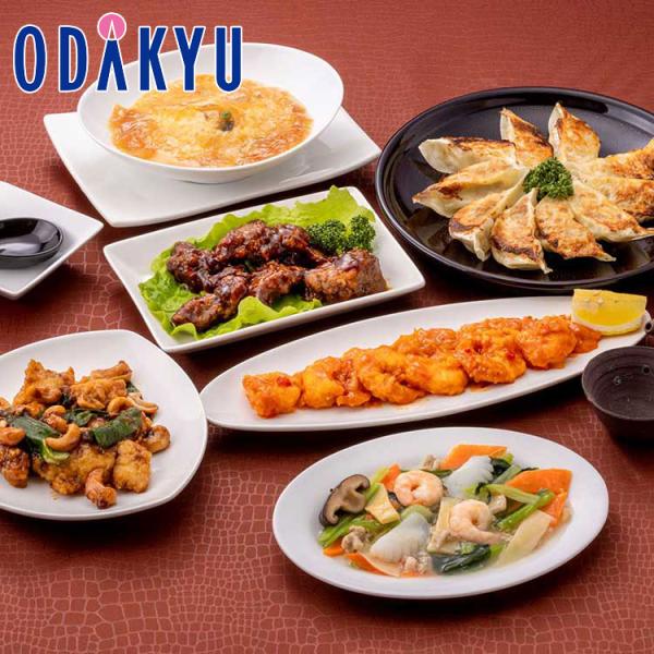 加工地：国内製造産地：エビ：インドネシア産、豚肉：国産、白菜：国産、椎茸：中国産、えび：フィリピン産、鶏肉：国産、葱：国産、カシューナッツ：インド産、かに玉：国内製造、キャベツ：国産、豚肉：国産重さ：約1.2kg箱サイズ：30×27×10(...