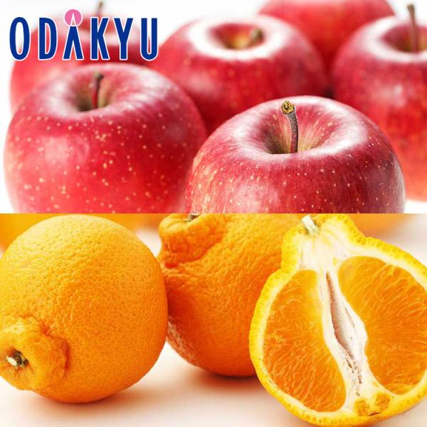 産地：りんご：青森県デコポン：熊本県重さ：約4.8kg等級：秀270g以上内容：青森県産「サンふじ」×8玉~9玉熊本県産「デコポン」×8玉~9玉