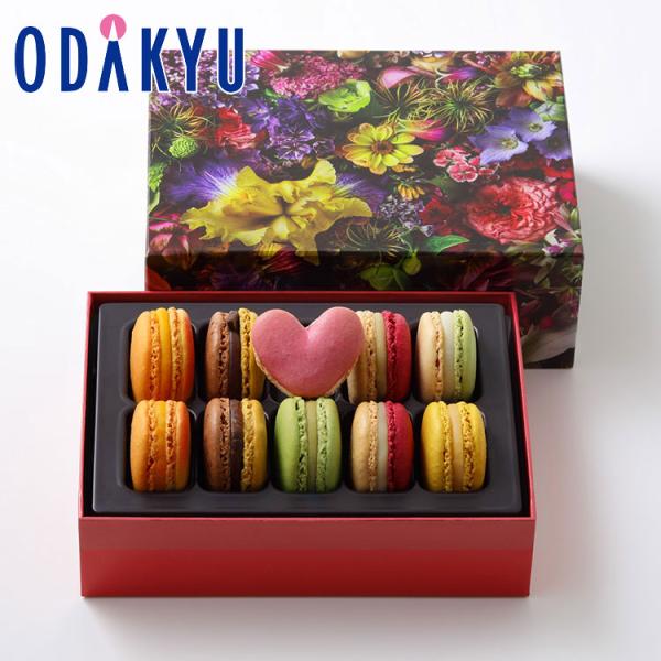 加工地：日本産地：日本箱サイズ：13.5×18×7(cm)賞味期間：製造日より7日間内容：オンジ、プレニチュード、ジャルダン ド ミゾール 各2 / クール ジャルダン スクレ、アンフィニマン ピスターシュ、アーリア、アンフィニマン シトロ...