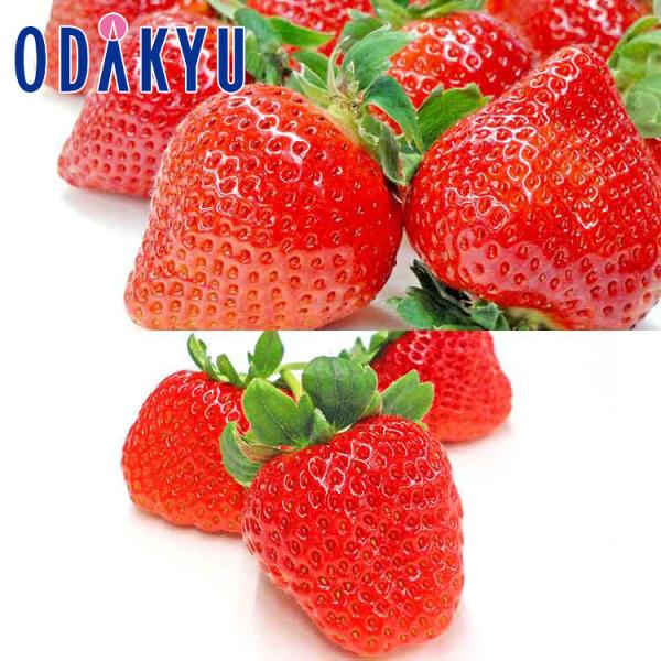 産地：福岡県産熊本県産重さ：約0.5kg等級：A品以上内容：福岡県産「博多あまおう」×1パック熊本県産「ひのしずく」×１パック