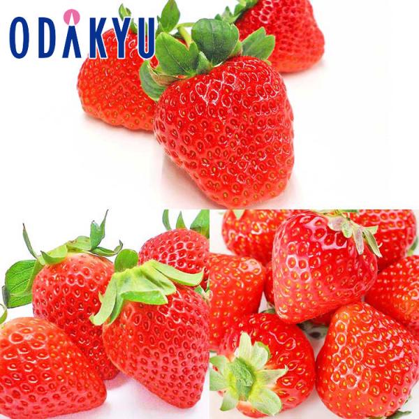 産地：熊本県重さ：約0.7kg等級：A品以上内容：熊本県産「ひのしずく」×1パック熊本県産「ゆうべに」×1パック熊本県産「恋みのり」×1パック