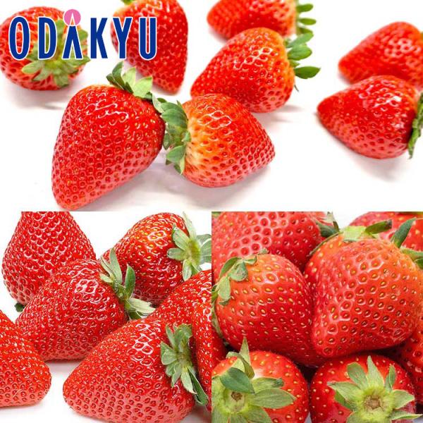 産地：栃木県茨城県群馬県重さ：約0.7kg等級：A品以上内容：栃木県産「とちあいか」×1パック茨城県産「とちおとめ」×1パック群馬県産「やよいひめ」×1パック