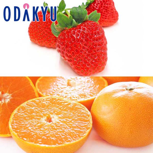 産地：いちご：熊本県せとか：愛媛県他重さ：約1.1kg等級：ひのしずく：黒箱せとか：青秀以上・240g以上内容：熊本県菊池産「ひのしずく」（6〜8粒）×1パック愛媛県産他「せとか」×4玉