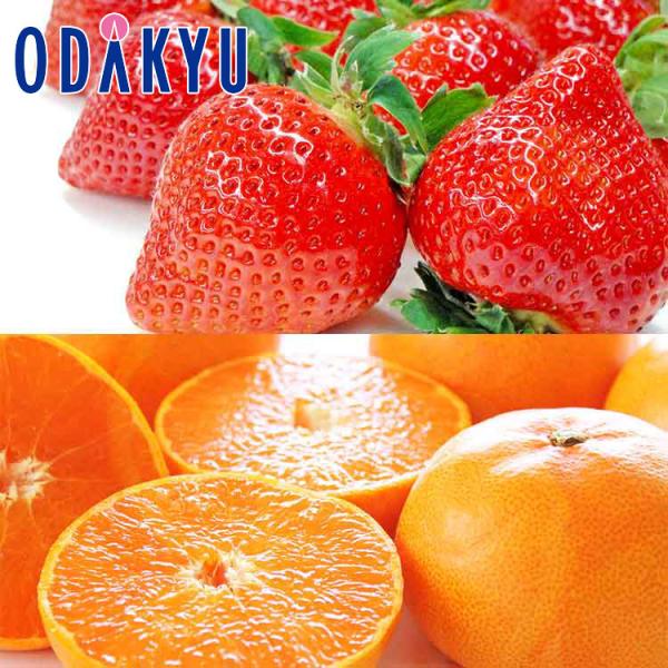 産地：いちご：福岡県せとか：愛媛県他重さ：約1.1kg等級：あまおう：DXせとか：青秀以上・240g以上内容：福岡県産「博多あまおう」DX×1パック愛媛県産他「せとか」×4玉