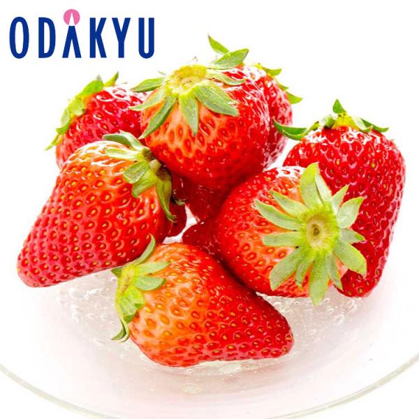 産地：静岡県他重さ：約1kg等級：A品以上内容：静岡県産他「紅ほっぺ」×4パック