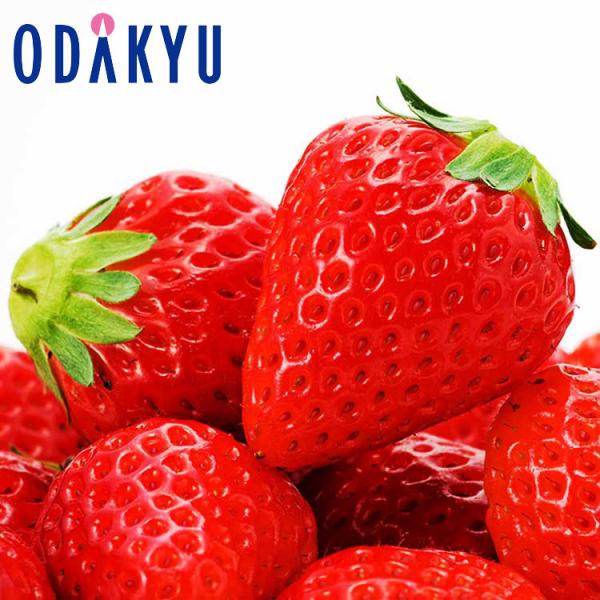 産地：茨城県重さ：約0.4kg内容：茨城県産「いばらキッス」12粒~18粒