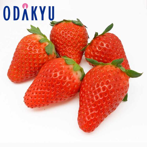 産地：栃木県重さ：約0.5kg等級：DX内容：栃木県産「スカイベリー」デラックス×2パック