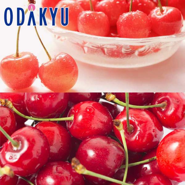 重さ：約0.72kg内容：山形県産他佐藤錦（180g）×2パック山形県産他紅秀峰（180g）×2パック