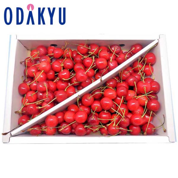 産地：山形県重さ：約1kg内容：山形県産佐藤錦（特秀・Lサイズ）×1kg（バラ詰め）