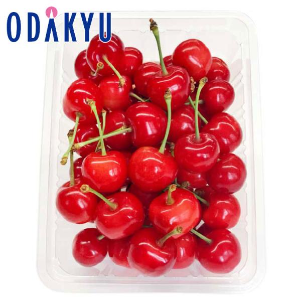 産地：山形県重さ：約0.5kg内容：山形県産佐藤錦（秀・Lサイズ）×500g（バラ詰め）