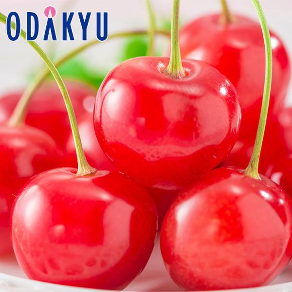 産地：山形県重さ：約0.3kg内容：山形県産やまがた紅王（新品種）×約300g