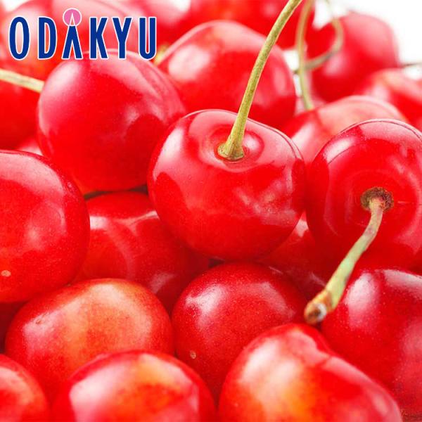 産地：山形県青森県秋田県　他重さ：約0.5kg内容：山形県産さくらんぼ（品種おまかせ）×500g