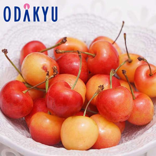 重さ：約0.5kg内容：ワシントン産レーニアチェリー×500g