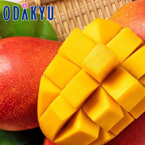 産地：台湾重さ：約1.2kg内容：台湾産台湾マンゴー×3〜4玉（計1.2kg）