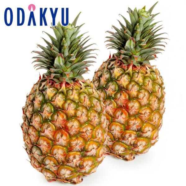 産地：台湾重さ：約1.6kg内容：台湾パイン×2本（計1.6kg）