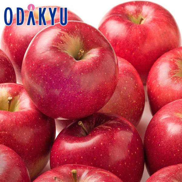 産地：青森県重さ：約4.8kg賞味期間：冷暗所で保存し、お早めにお召しが利ください内容：青森県産ふじりんご×16玉〜20玉