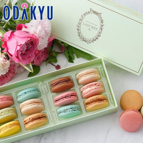 加工地：群馬県産地：国産重さ：約1.2kg箱サイズ：25.0×10.6×5.3(cm)賞味期間：お届けより冷凍30日間内容：マカロン12個入り