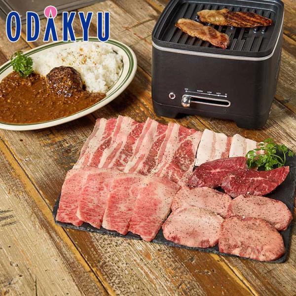 重さ：約1.5kg箱サイズ：28.0×29.0×17.5(cm)賞味期間：冷凍24か月内容：5種の焼肉セット (30日間熟成KINTAN 80g／サガリ 50g／プラチナポーク(岩手県産 白金豚) 40g／黒毛和牛上カルビ 100g／すき焼...