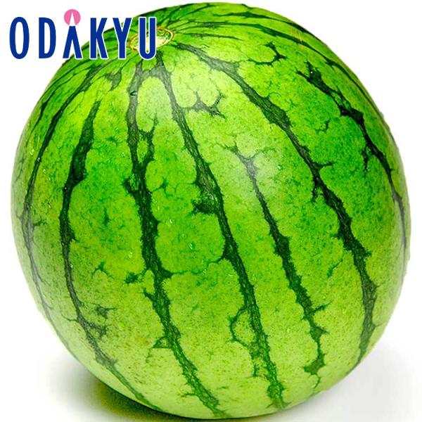 賞味期限：冷暗所で保存し、お早めにお召しが利ください産地：山形県重さ：約7kg等級：秀内容：山形県産大玉スイカ（4Lサイズ）×1玉