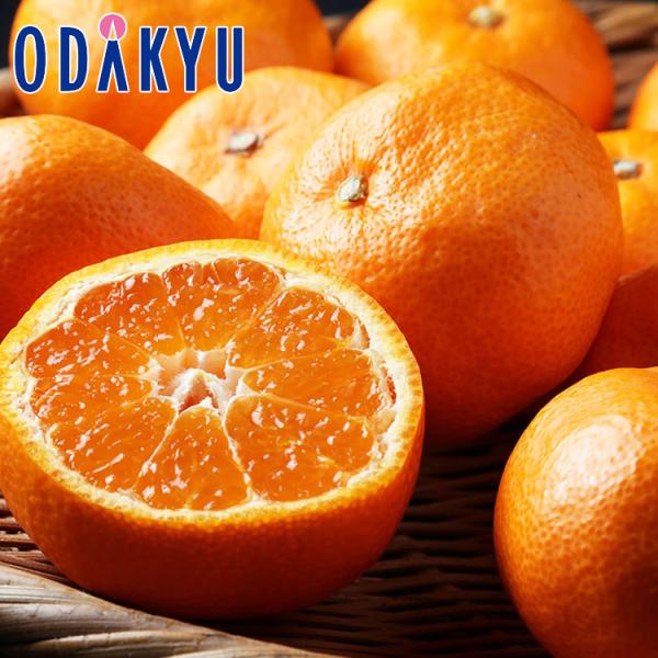 賞味期限：冷暗所で保存し、お早めにお召しが利ください産地：愛知県重さ：約1.2kg等級：秀内容：蒲郡温室みかん（Mサイズ）×12玉入り