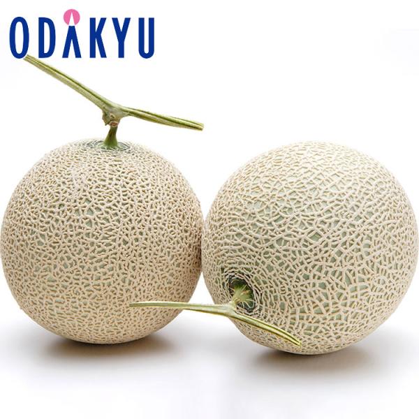 産地：愛知県他（メロン）重さ：約2.8kg等級：秀サイズ：２L内容：愛知県産他アールスメロン×2玉