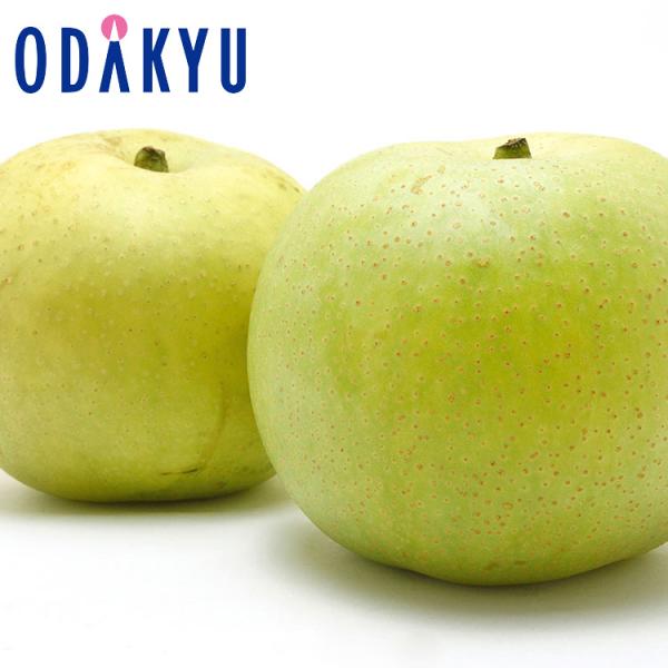 産地：鳥取県重さ：約2kg内容：鳥取県産 なつしずく梨×6玉（約2kg）