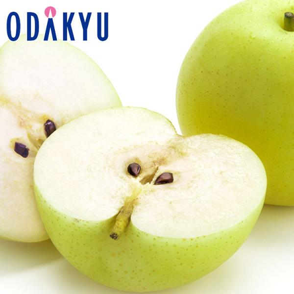 産地：鳥取県重さ：約2kg内容：鳥取県産 ハウス二十世紀梨×6玉（約2kg）