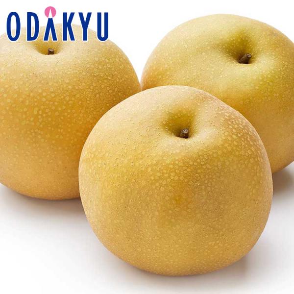 産地：愛知県重さ：約4.8kg内容：愛知県産 瑞月×12〜16玉（約4.8kg）
